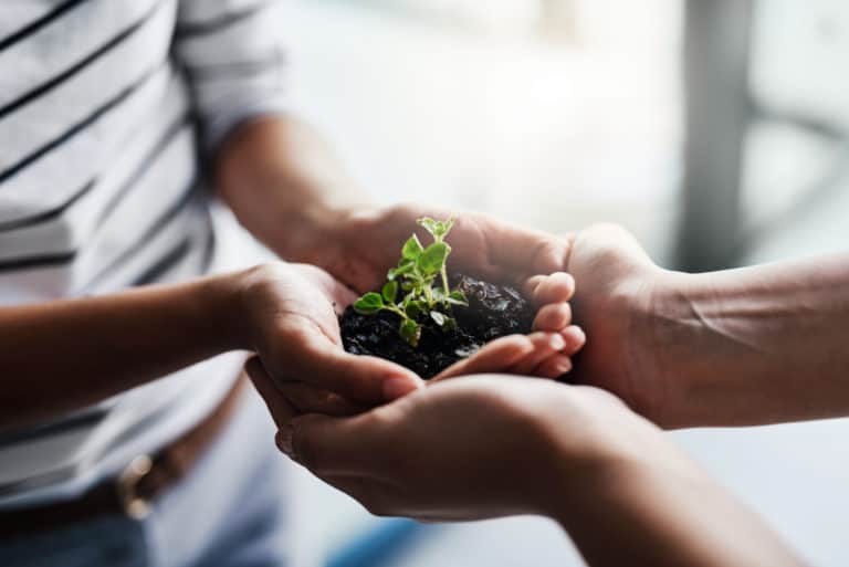 A Developmental Model for Healthy Couples - Couples Institute